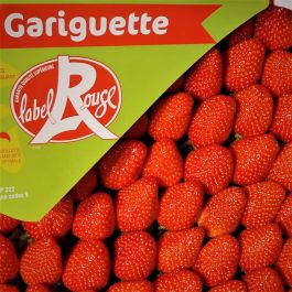Fraise gariguette